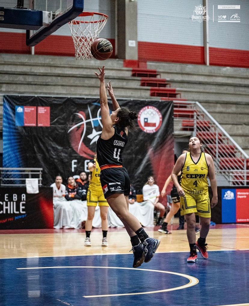 Un final amargo: El Club Deportivo Sergio Ceppi superó 76-45 al Puente ...